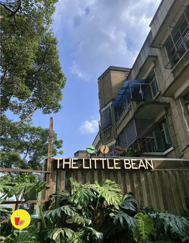 Khám phá RỪNG NHIỆT ĐỚI THU NHỎ trong Tòa Nhà Cổ hơn 50 năm nằm trên ...