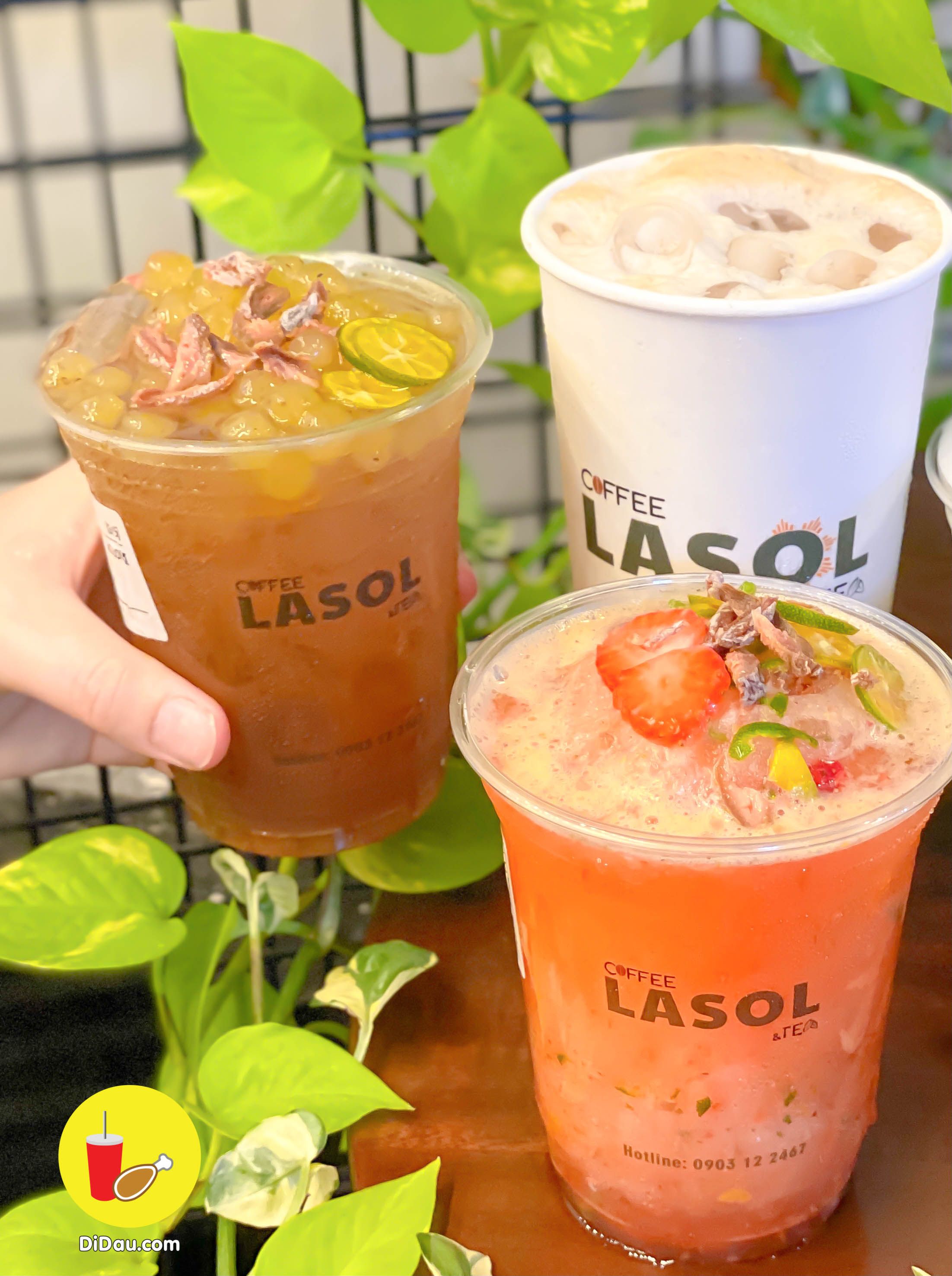 Đến LASOL COFFEE & TEA tìm khoảng bình yên giữa chốn Sài Gòn xô bồ ...